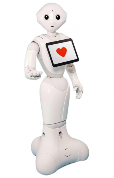 BellaBot - Robot serveur interactif et intelligent - Evotion - Robots ...